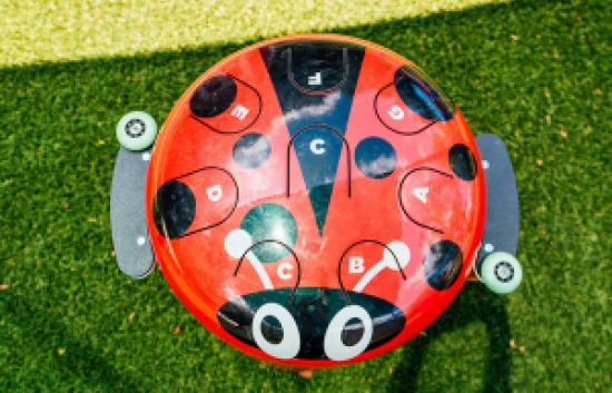 Lady Bug Drum
